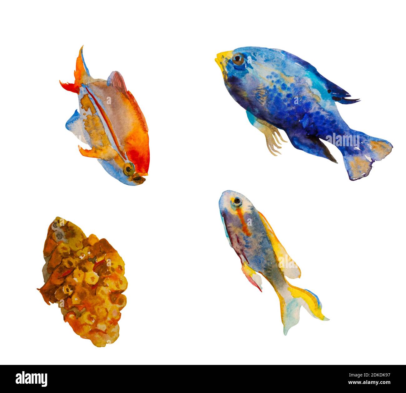 Set of watercolor tropic fish and a coral isolated on white background ...