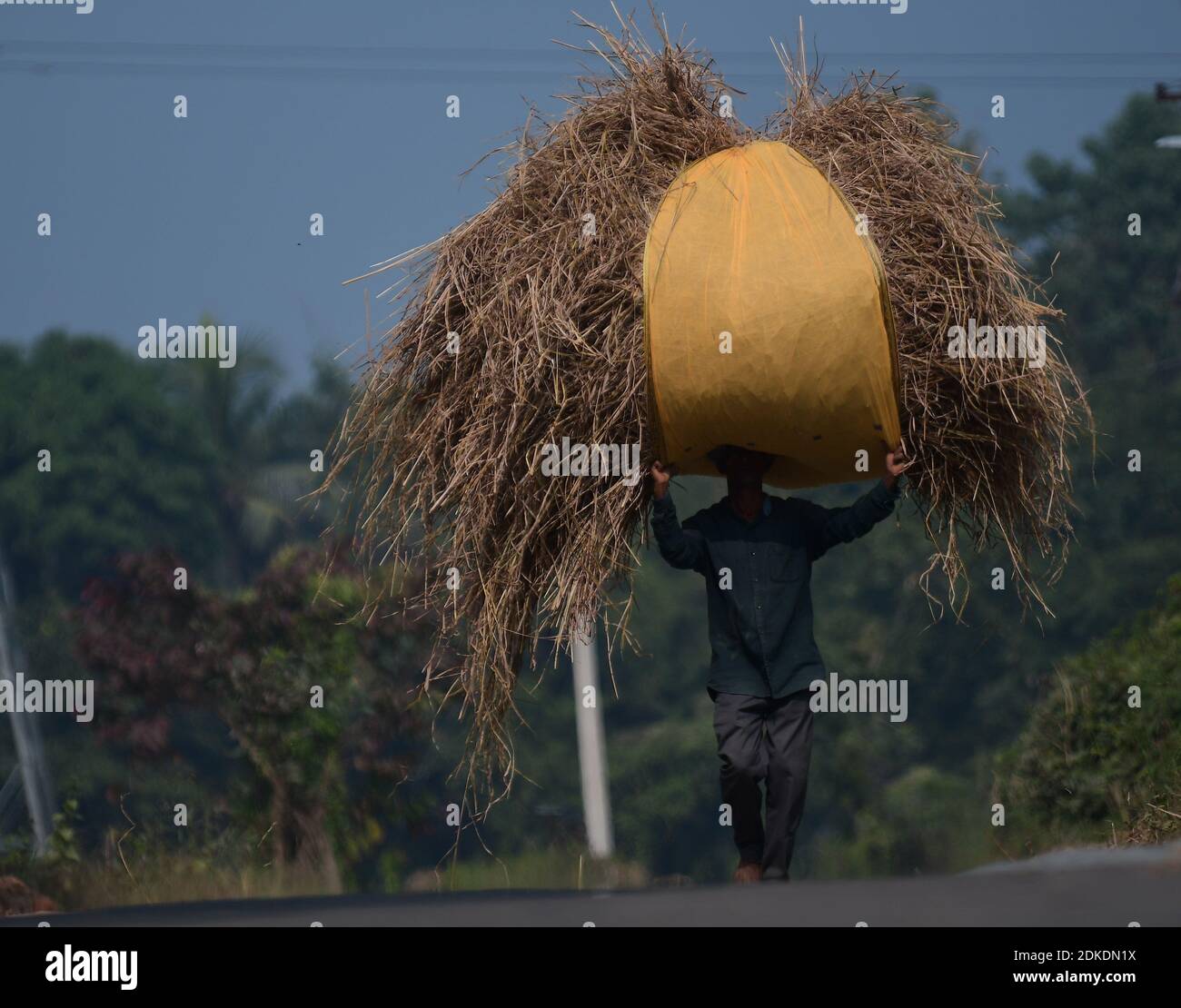 Agartala, India's northeastern state of Tripura. 15th Dec, 2020. A man ...