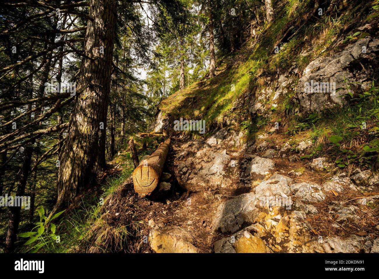 Smiley log hi-res stock photography and images - Alamy