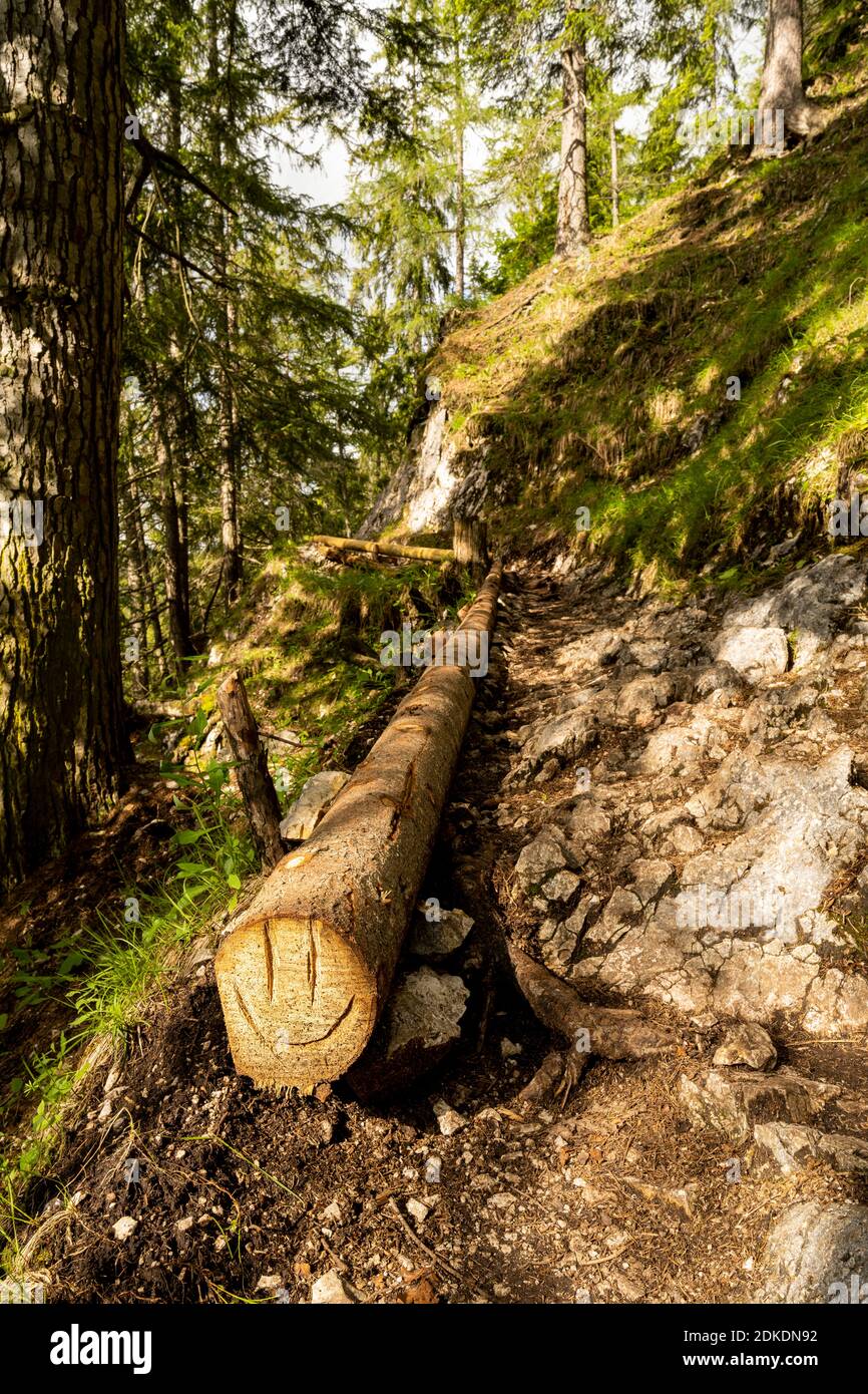 A smiley carved into a tree trunk on the edge of the path to the ...