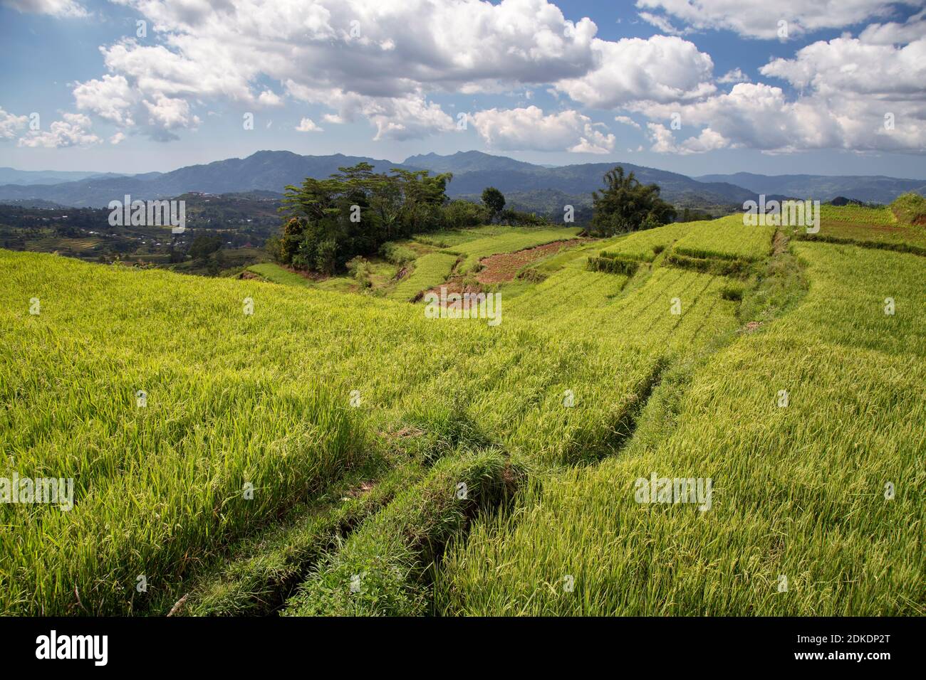 Multiple terraces hi-res stock photography and images - Alamy
