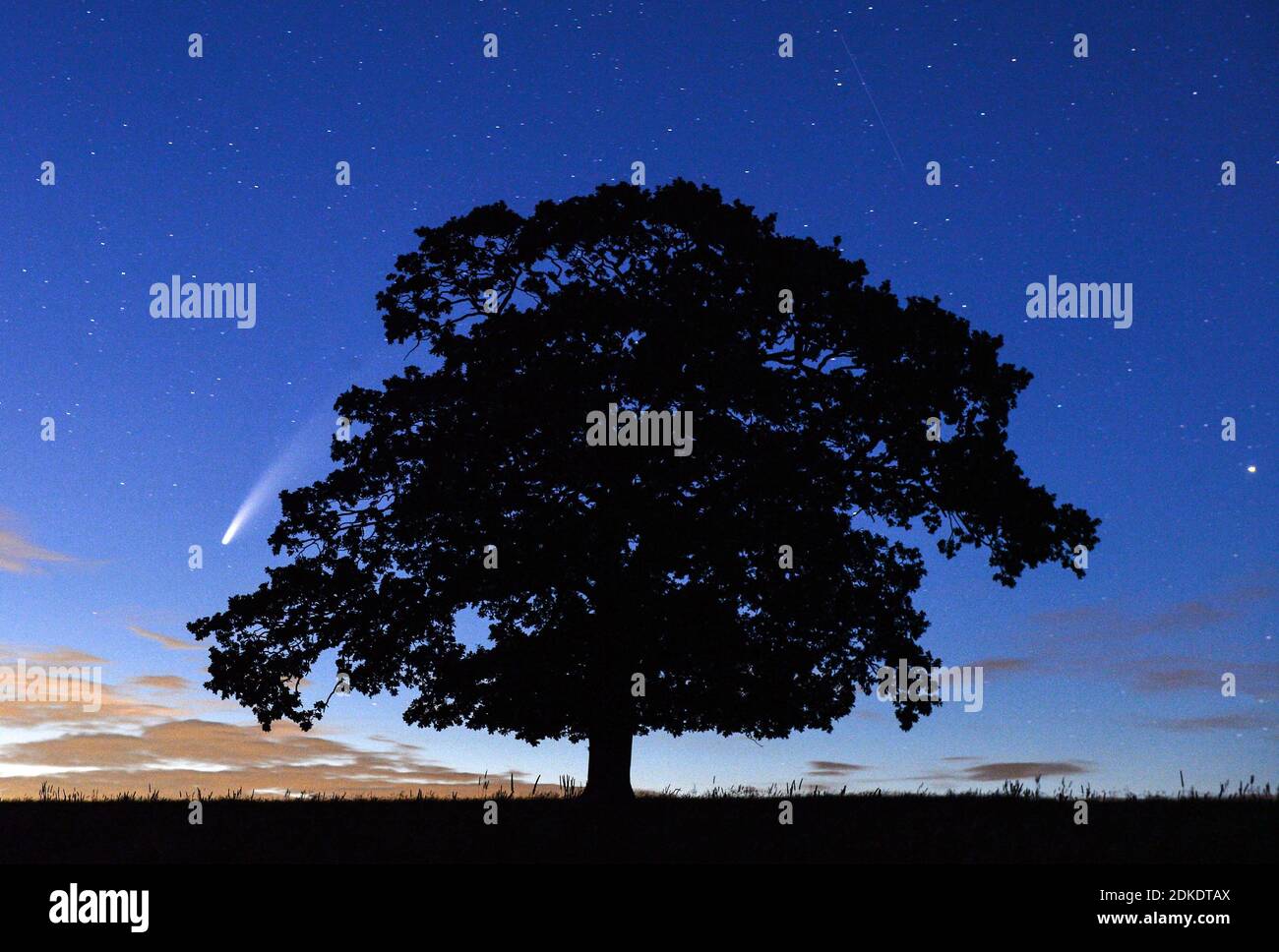 Comet Neowise C2020F3 is seen in the early morning sky passing behind a ...