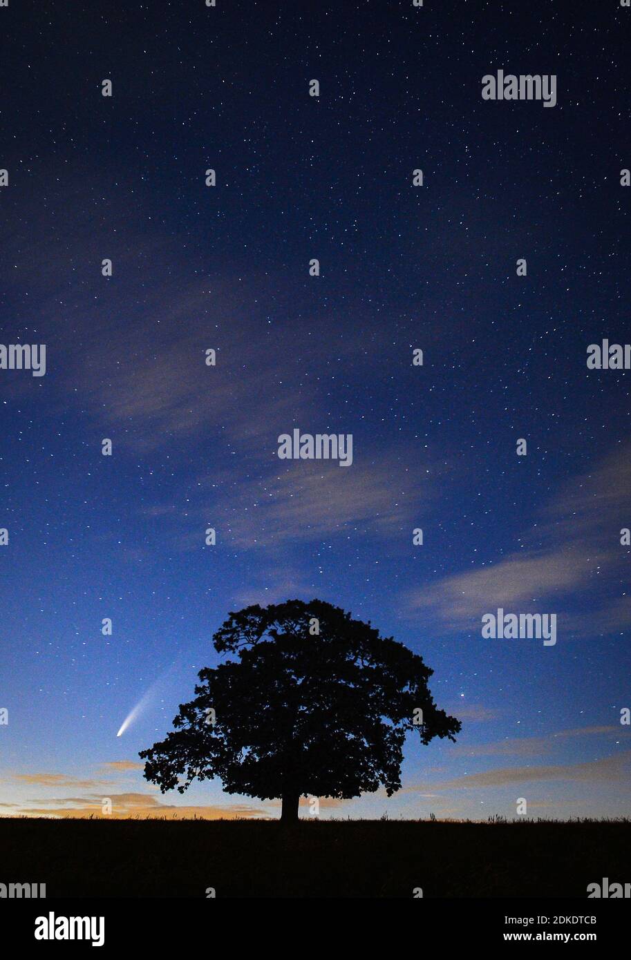 Comet Neowise C2020F3 is seen in the early morning sky passing behind a ...