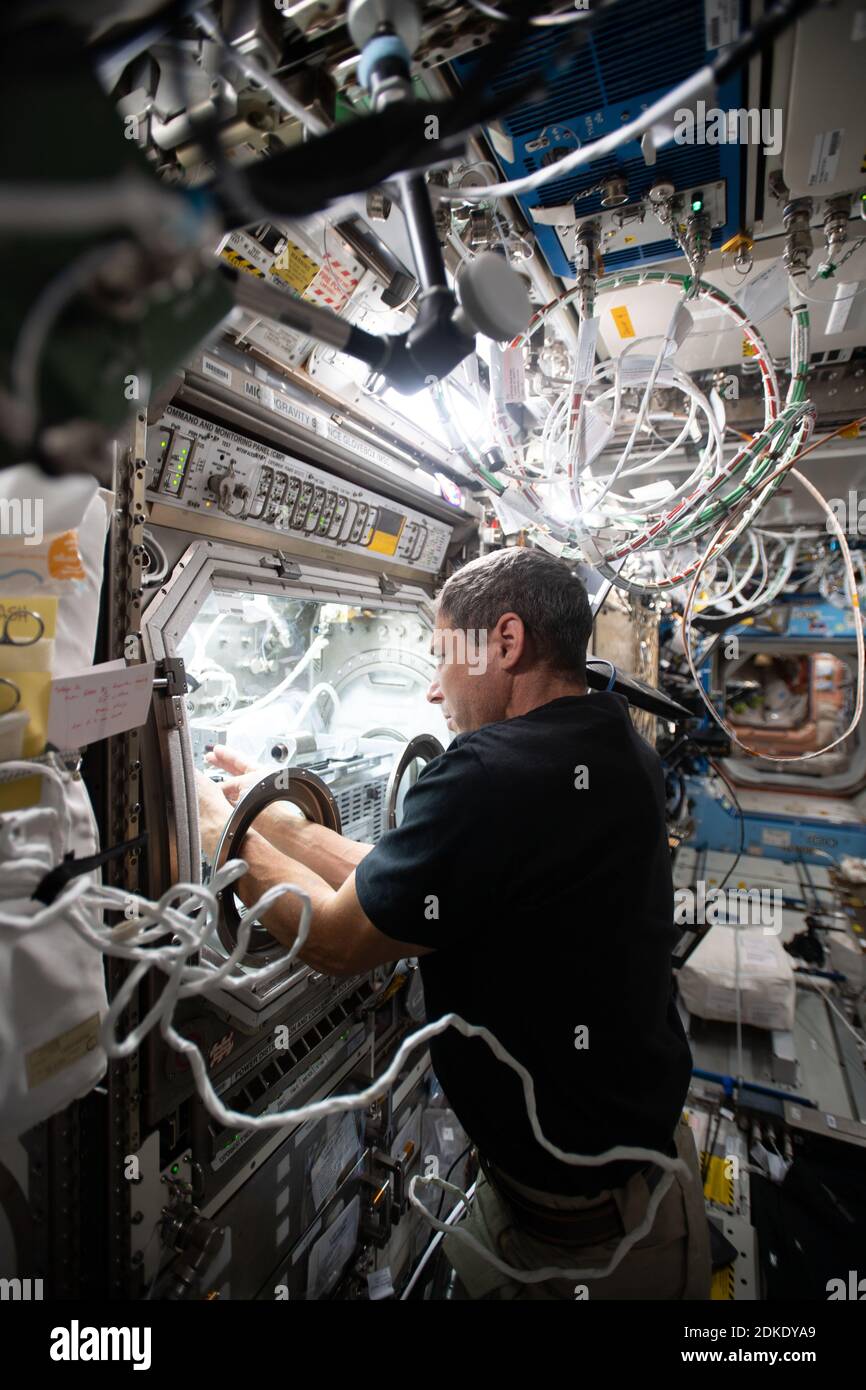 Microgravity Nasa Study