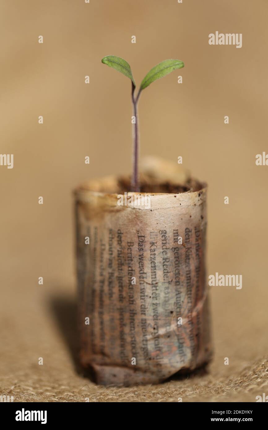 Potter paper hi-res stock photography and images - Alamy