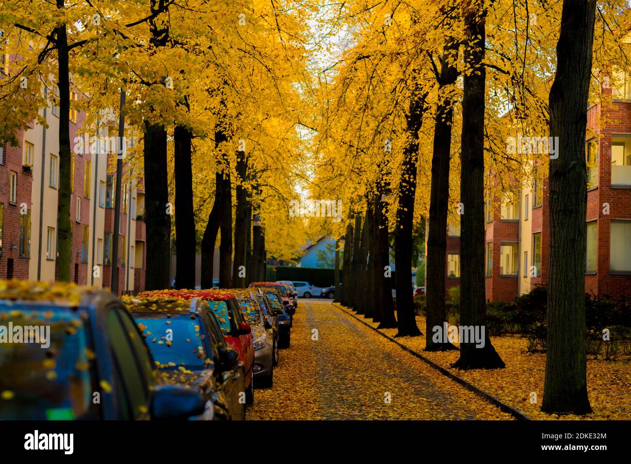 Karl marx strasse hi-res stock photography and images - Alamy