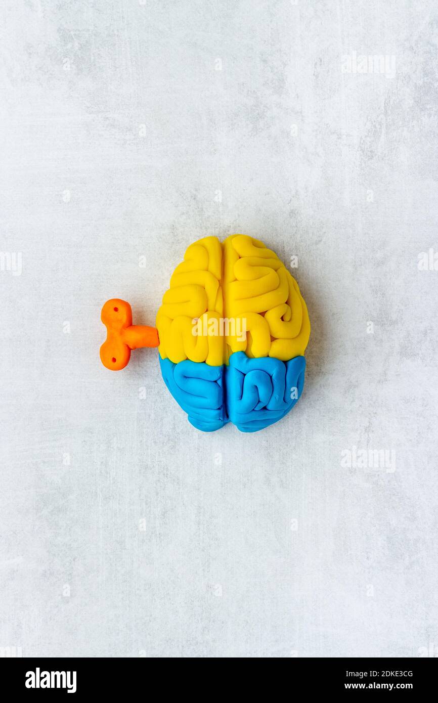 Ideas concept. Work of brain - model made of colorful clay, top view ...