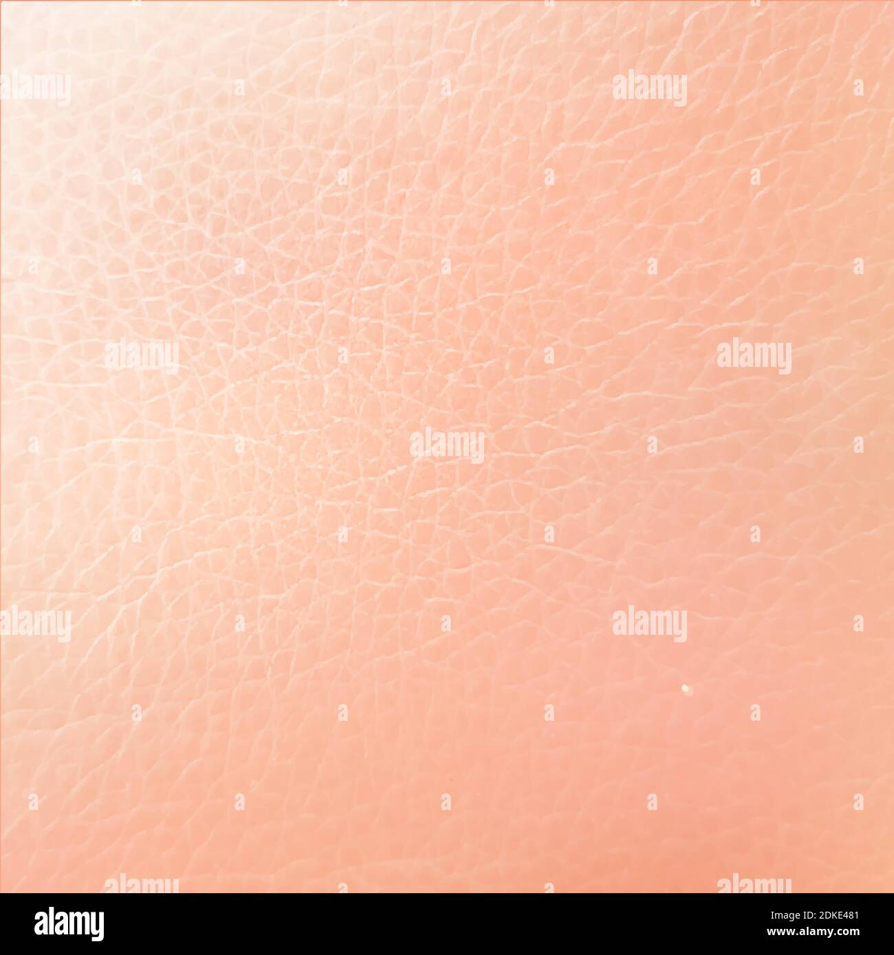 Skin digital paper. Skin textured background Stock Vector Image & Art ...