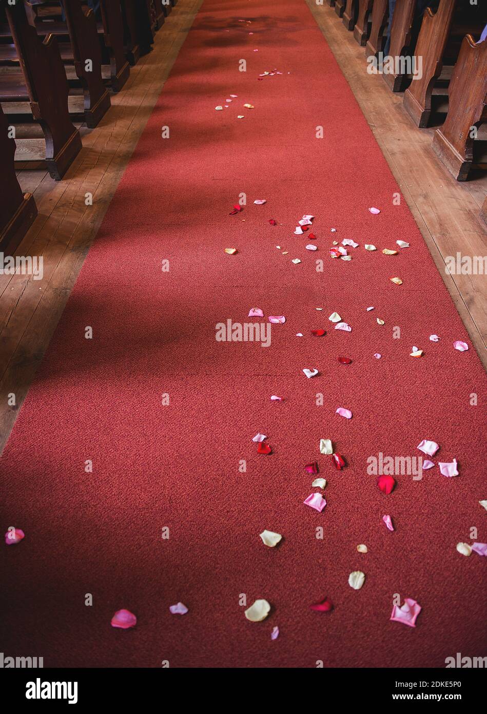 Red carpet event close up hi-res stock photography and images - Alamy