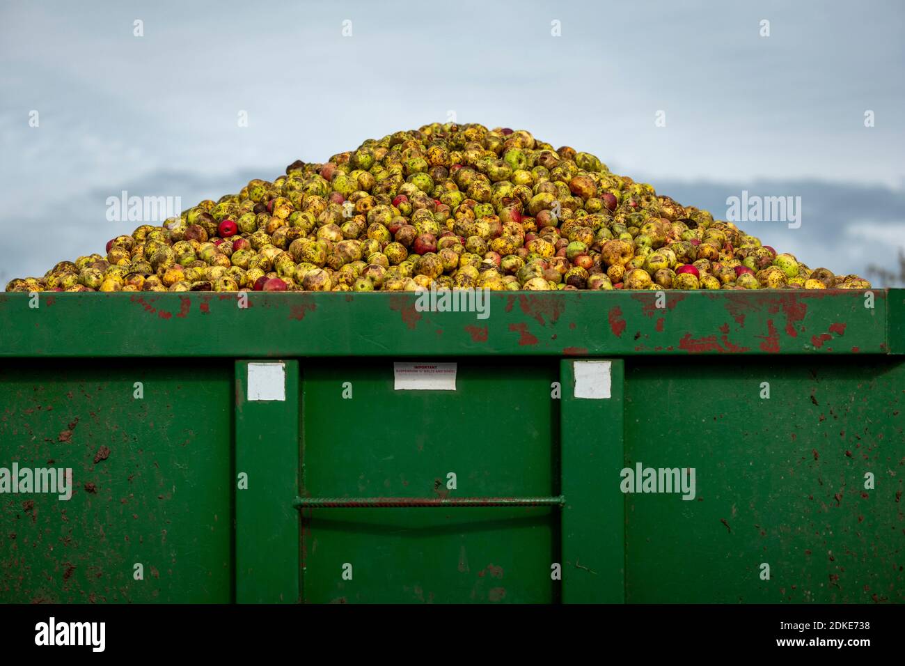 Traditional cider making takes place at Rich’s Cider Farm in Somerset ...