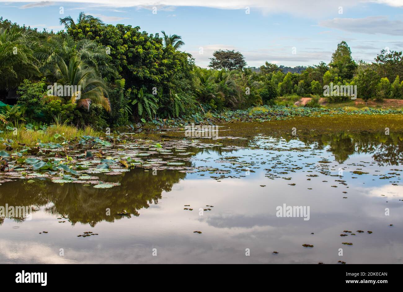 Sisaket province hi-res stock photography and images - Alamy