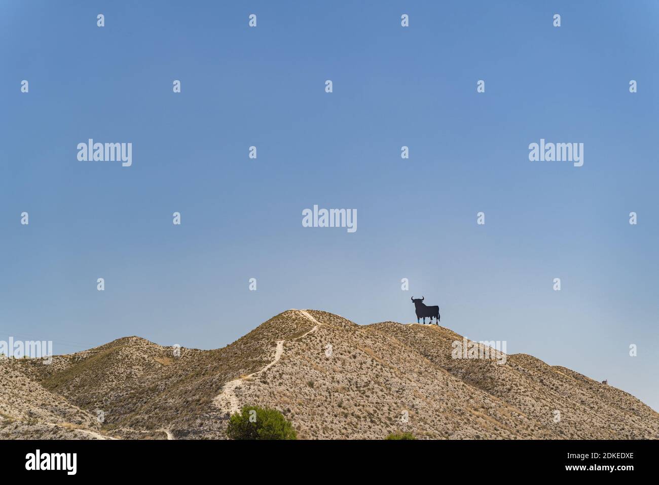 Sign of a black spanish bull in desert with blue sky and bushes on a ...