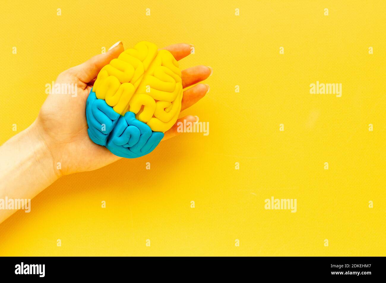 Idea concept. Use your brain. Model of clay in the hand, top view Stock ...