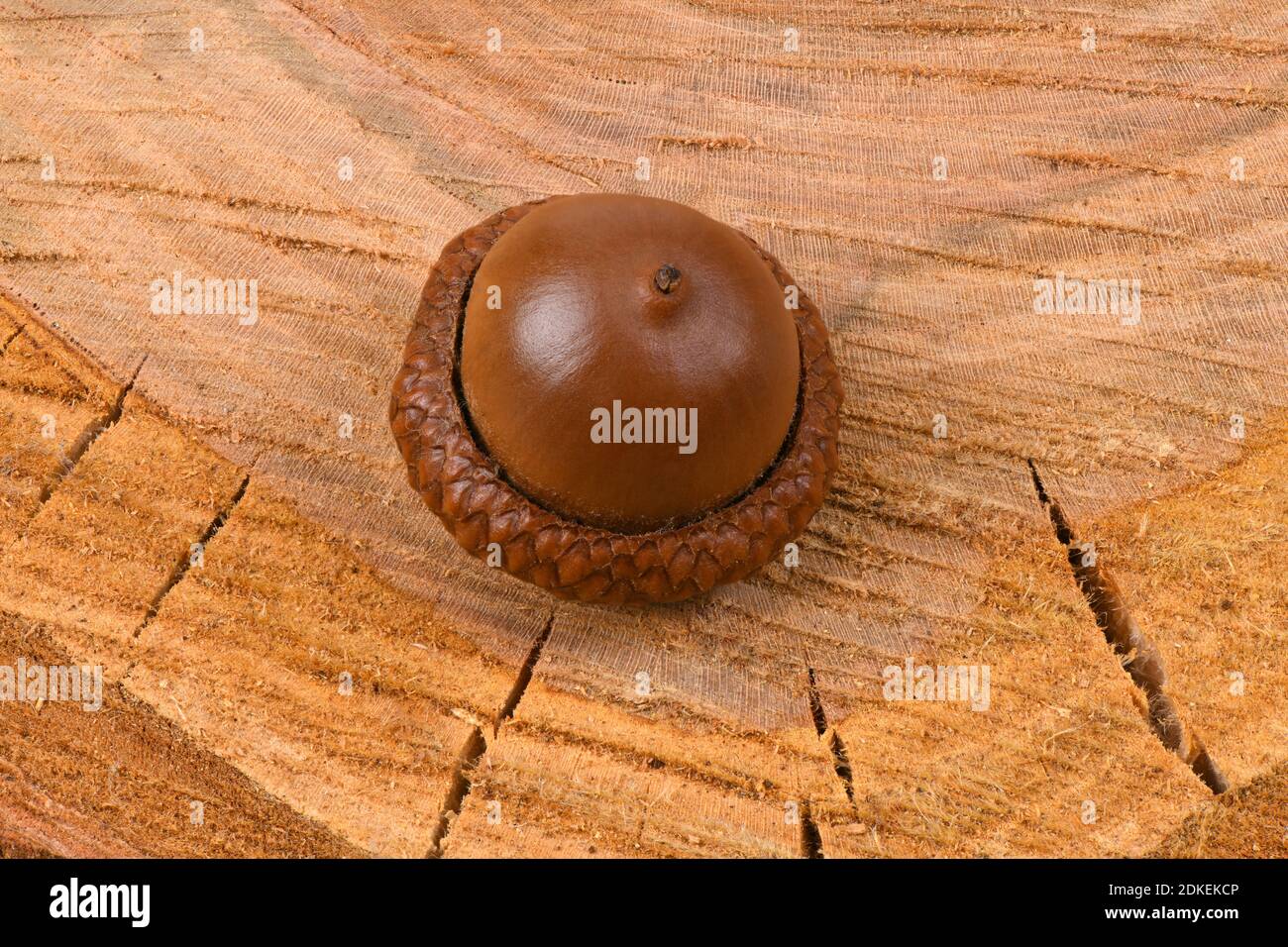 Acorn of an oak tree on wood background. High resolution photo. Full ...