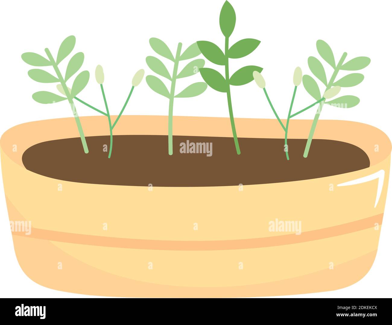 plants in a big pot icon over white background, colorful design, vector ...