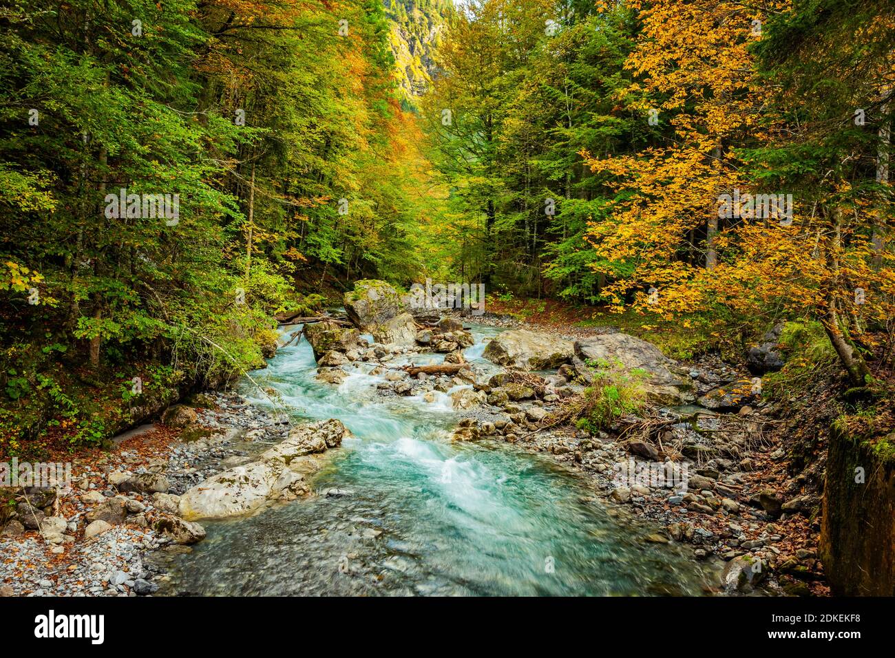 Mountain stream in the Allgäu Alps Stock Photo - Alamy