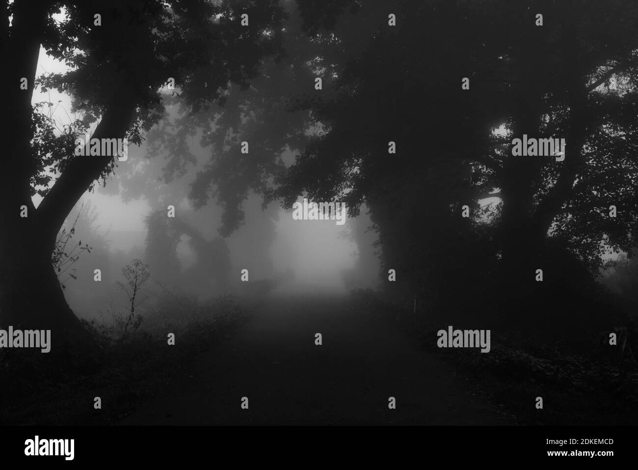 Morning cycle hi-res stock photography and images - Alamy