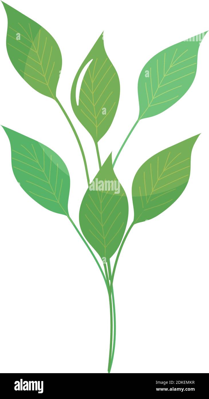 stem with green leaves over white background, colorful design, vector ...