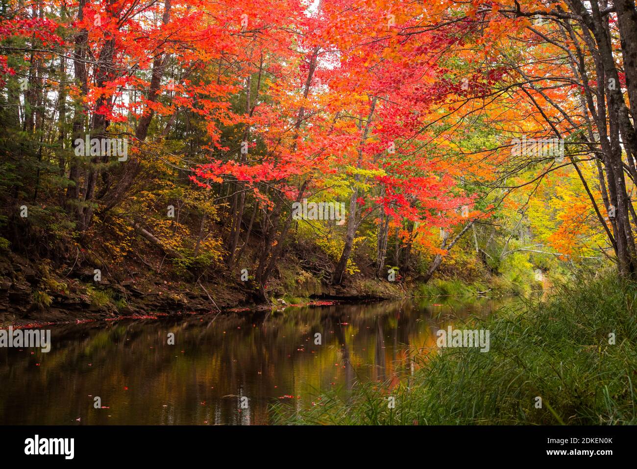 New brunswick scenery hi-res stock photography and images - Alamy
