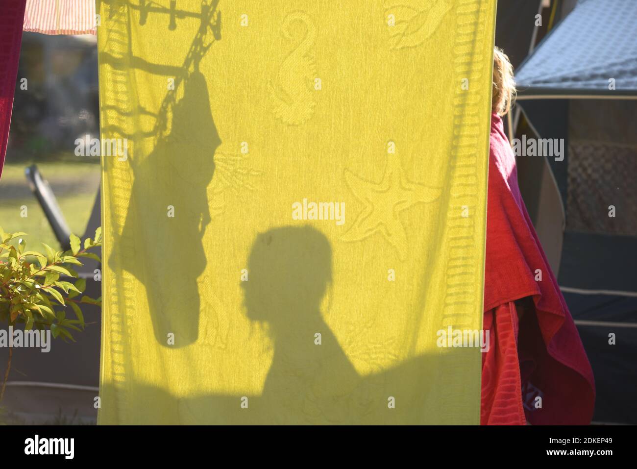 freedom and positive thinking in psychology for a healthy human psyche ...