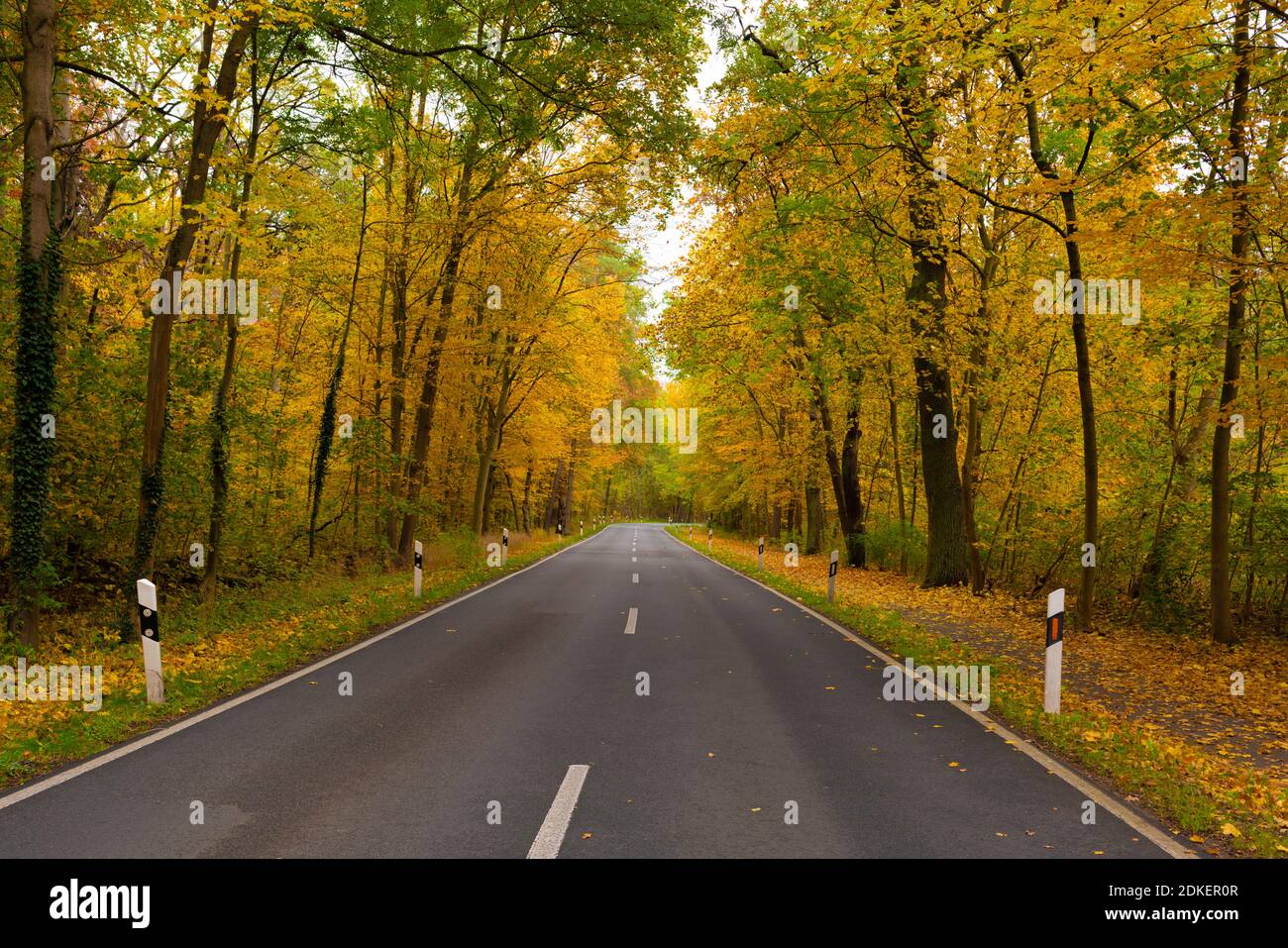 Road without cars hi-res stock photography and images - Alamy