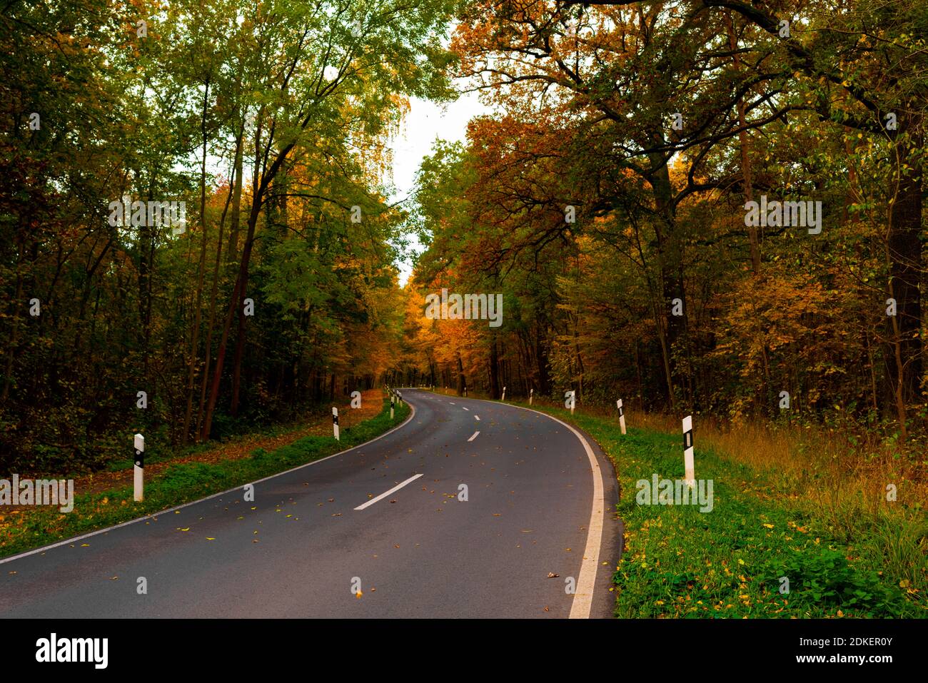 Road Without Cars High Resolution Stock Photography and Images - Alamy
