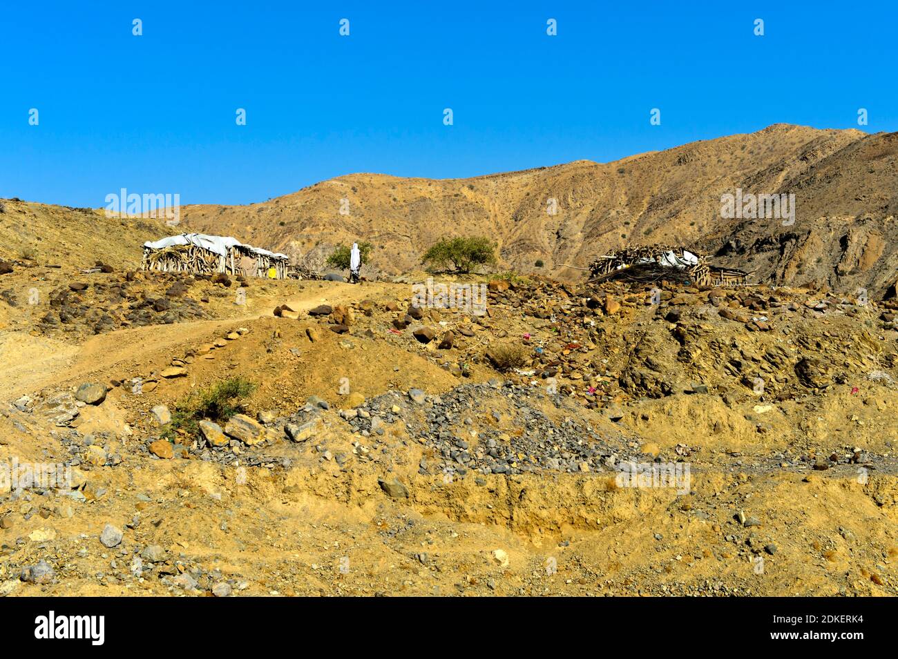 Housing of the Afar people in a desert-like, arid landscape near ...