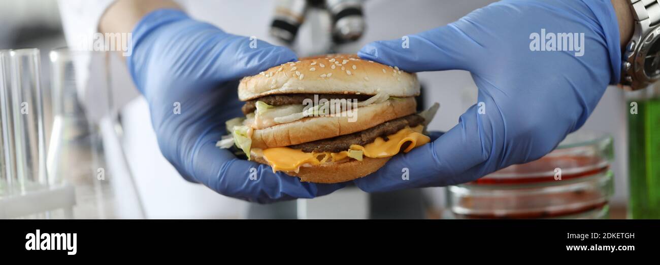 Scientist in rubber gloves hold hamburger in front of microscope and ...