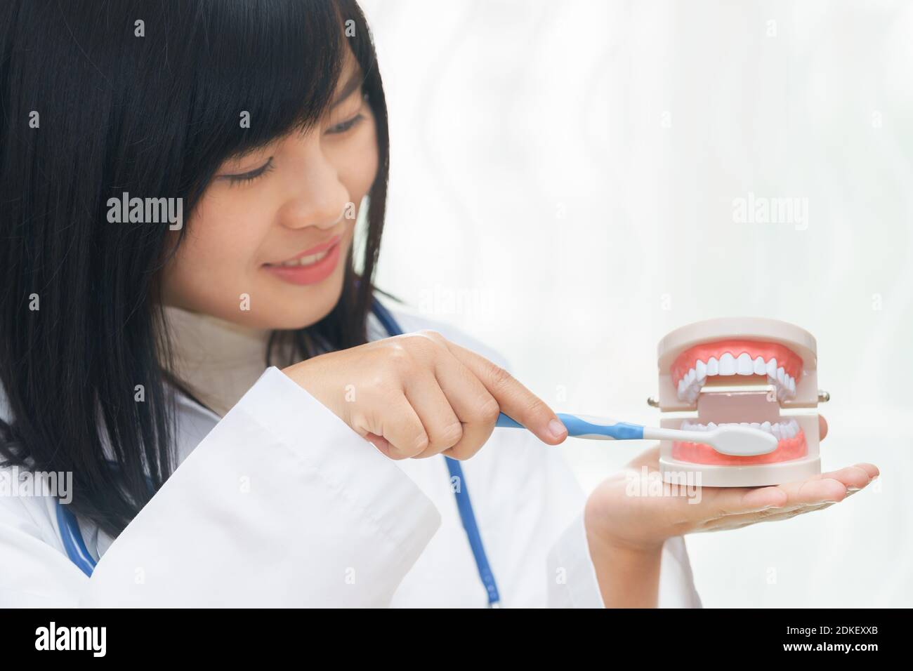 Female dentist demonstrate brushing teeth with teeth model Stock Photo ...