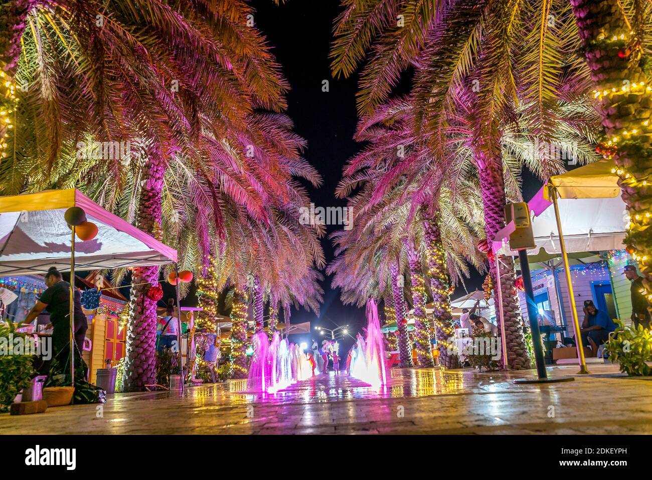Scenic Christmas decorations on walterz plant on the caribbean island ...