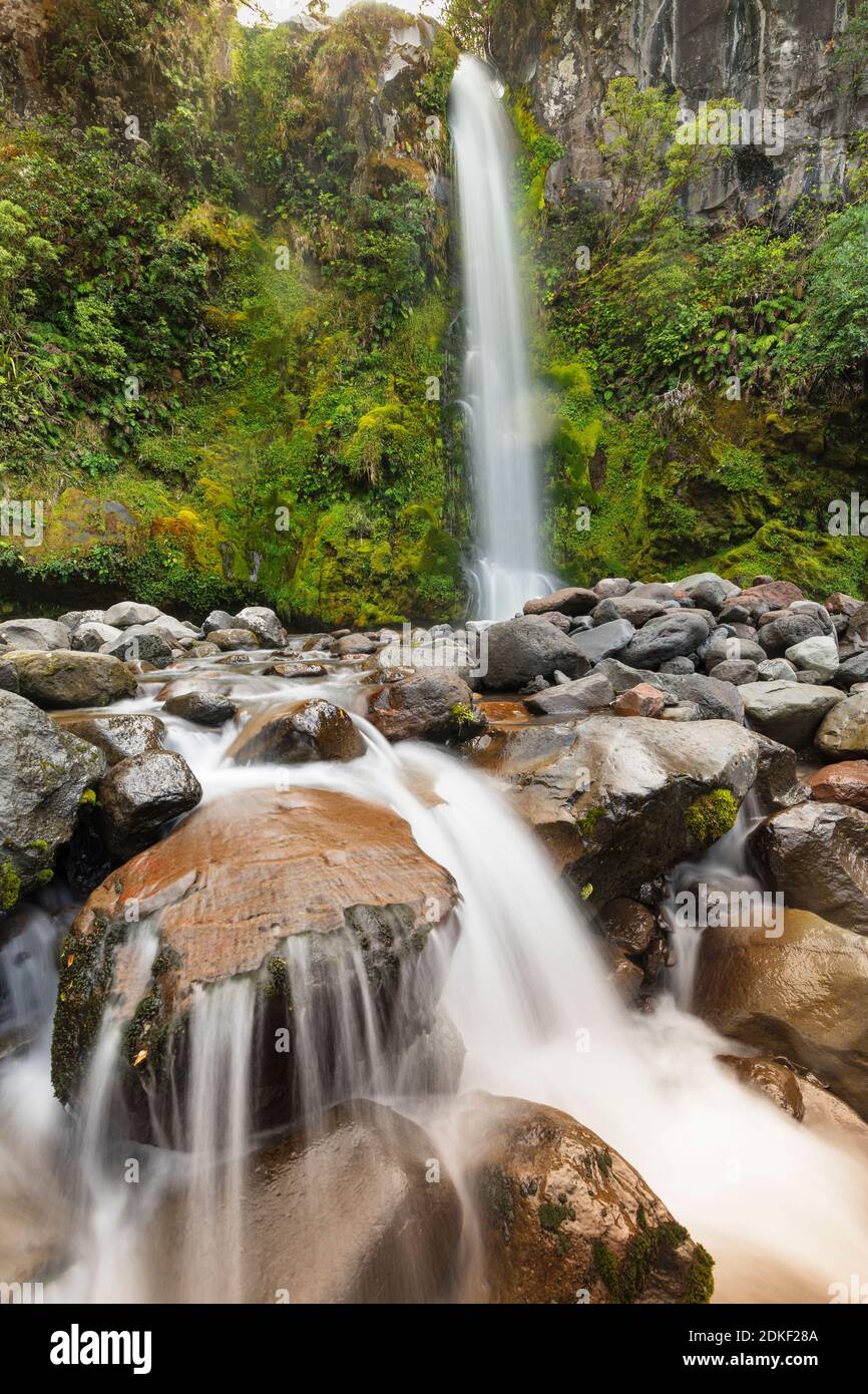 Dawson Falls waterfall, Egmont National Park, Taranaki, North Island ...