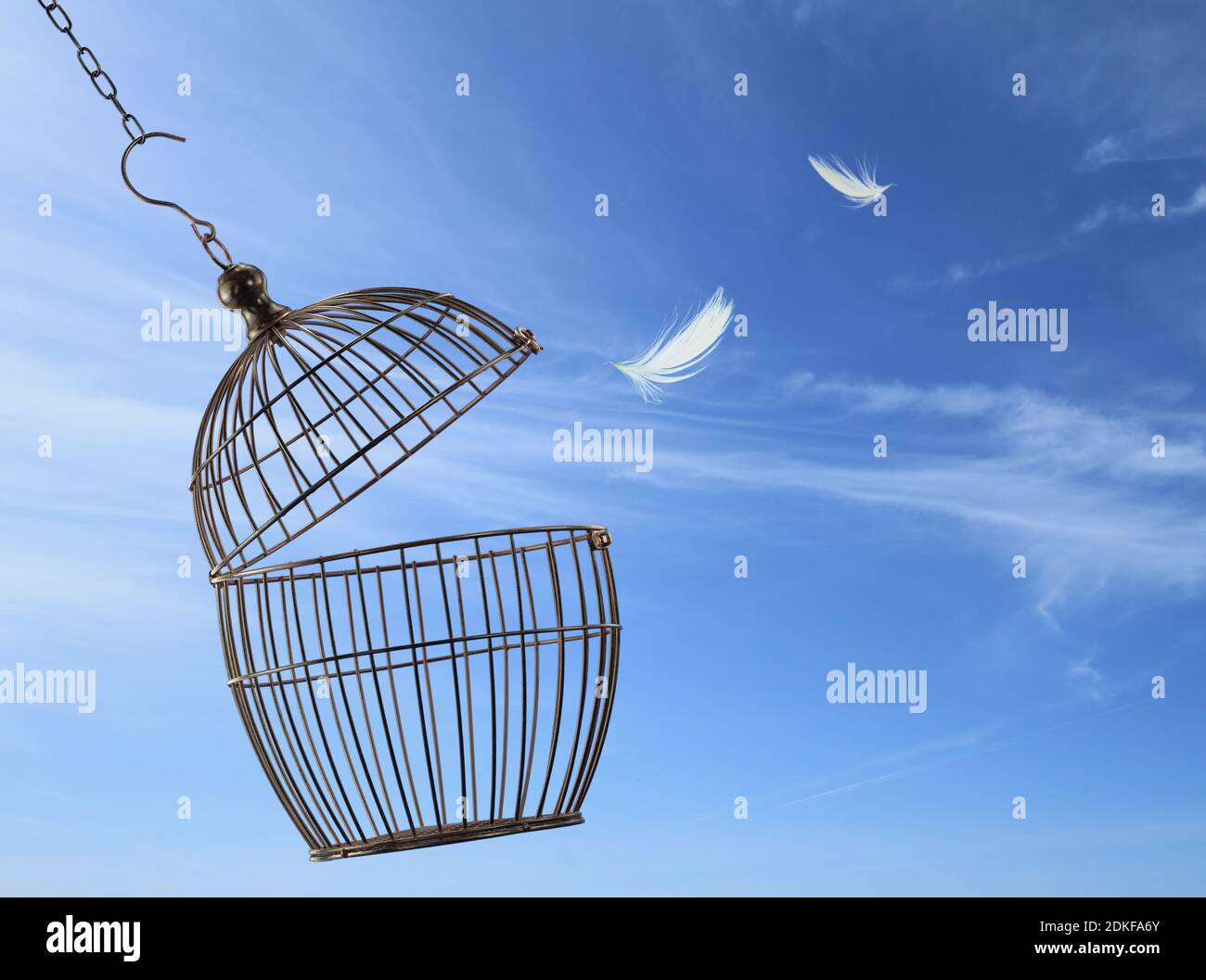 Break free cage hi-res stock photography and images - Alamy