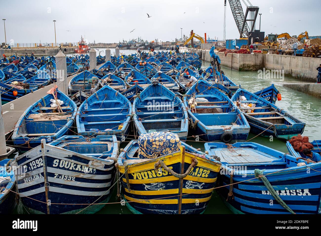 Morroco fish hi-res stock photography and images - Alamy