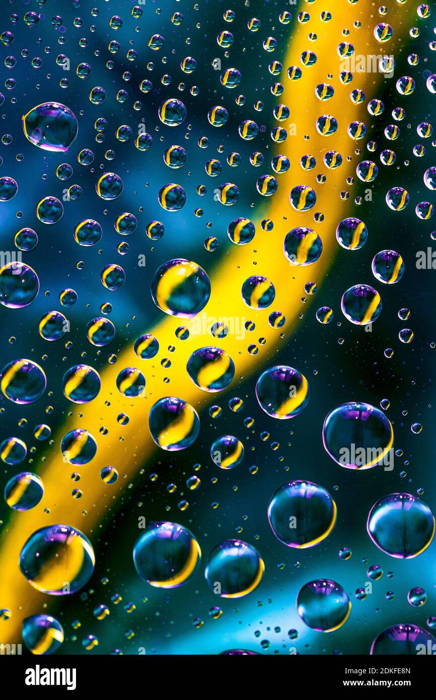 abstract selective focus colorful background with water drops. water ...