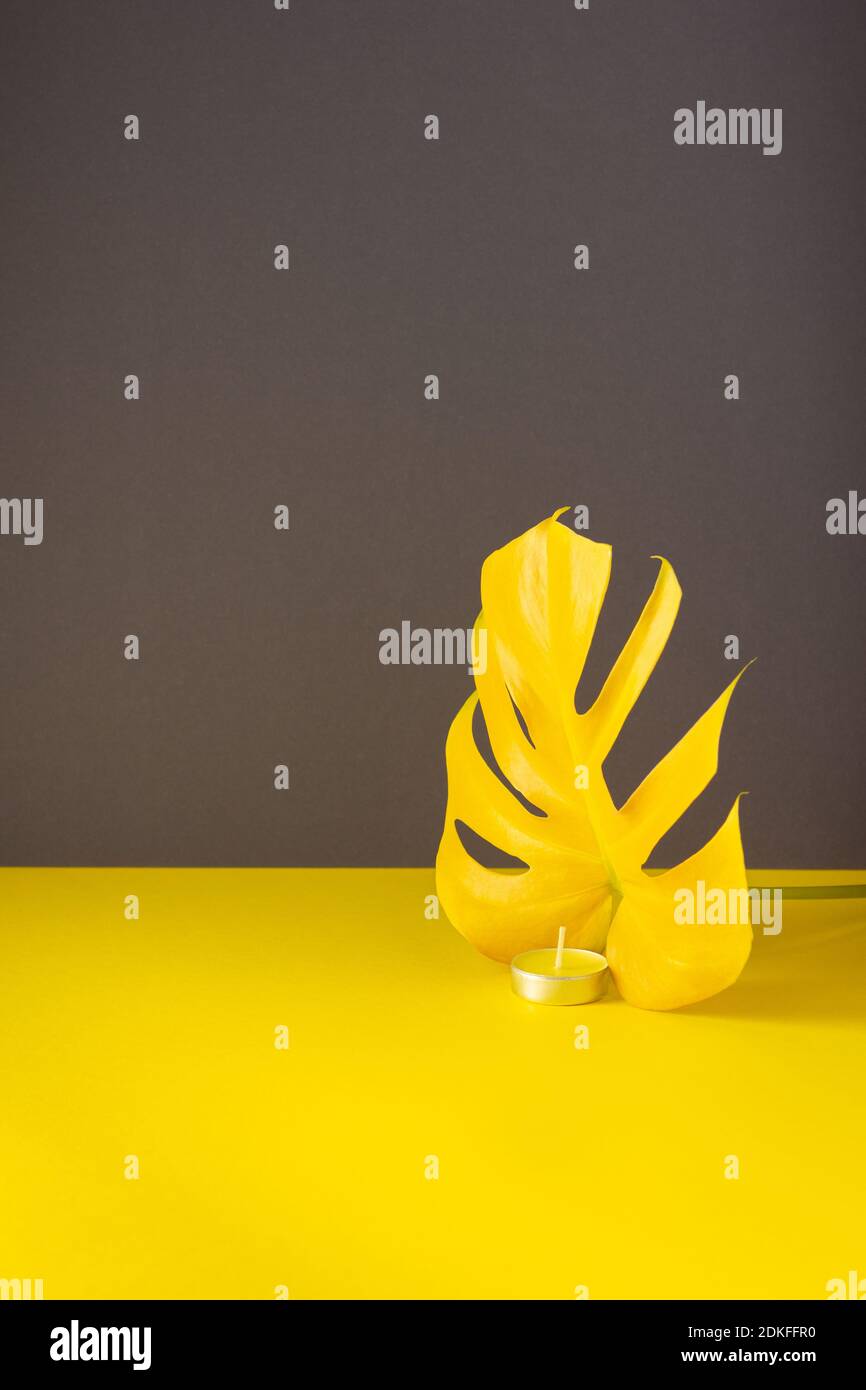 Yellow candle in a glass candlestick, candle flame imitates Monstera ...