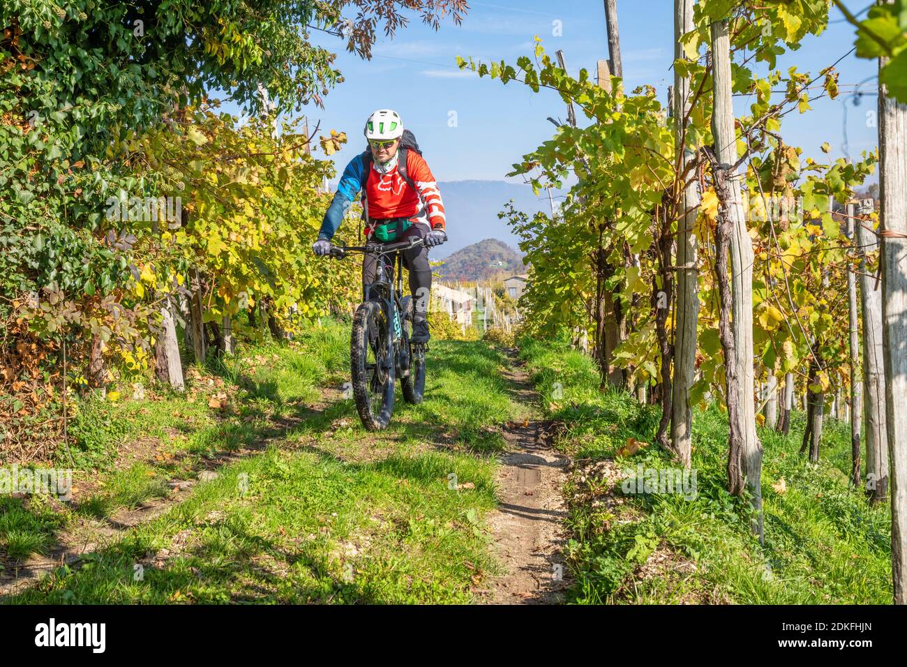 Prosecco italy bicycle hi-res stock photography and images - Alamy