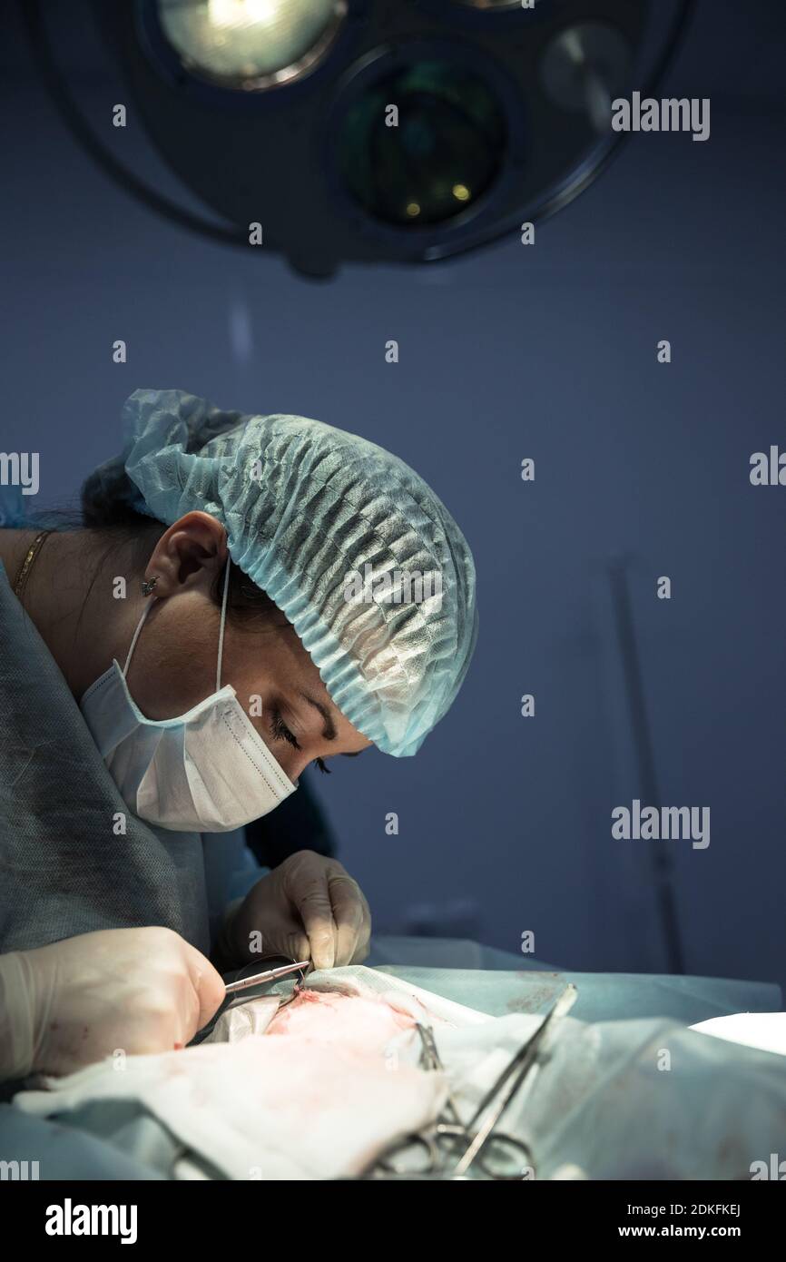 Laparotomy hi-res stock photography and images - Alamy