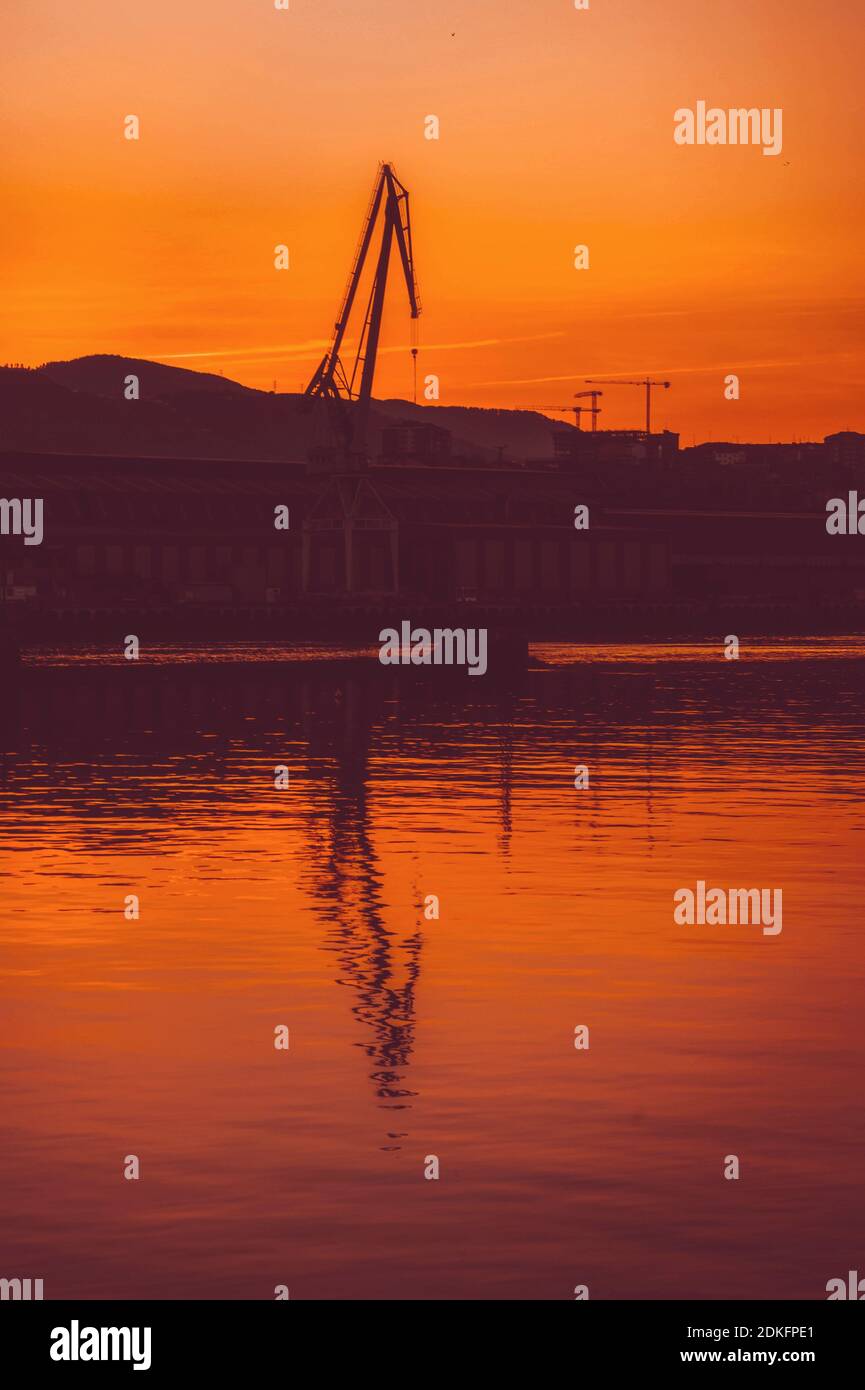 Crain bird hi-res stock photography and images - Alamy