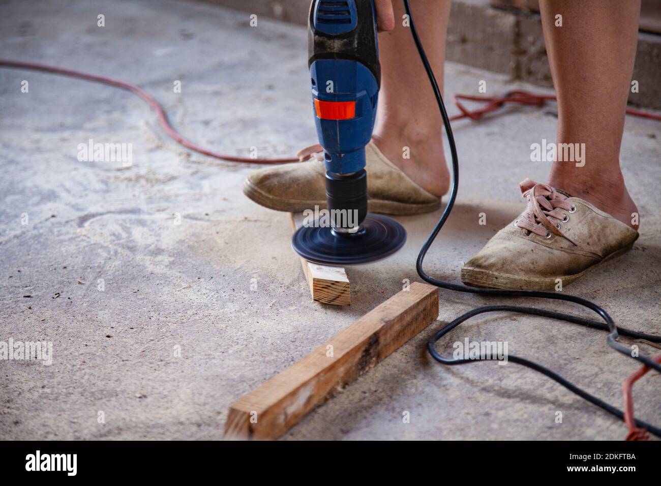 Sandpaper Tree High Resolution Stock Photography and Images - Alamy