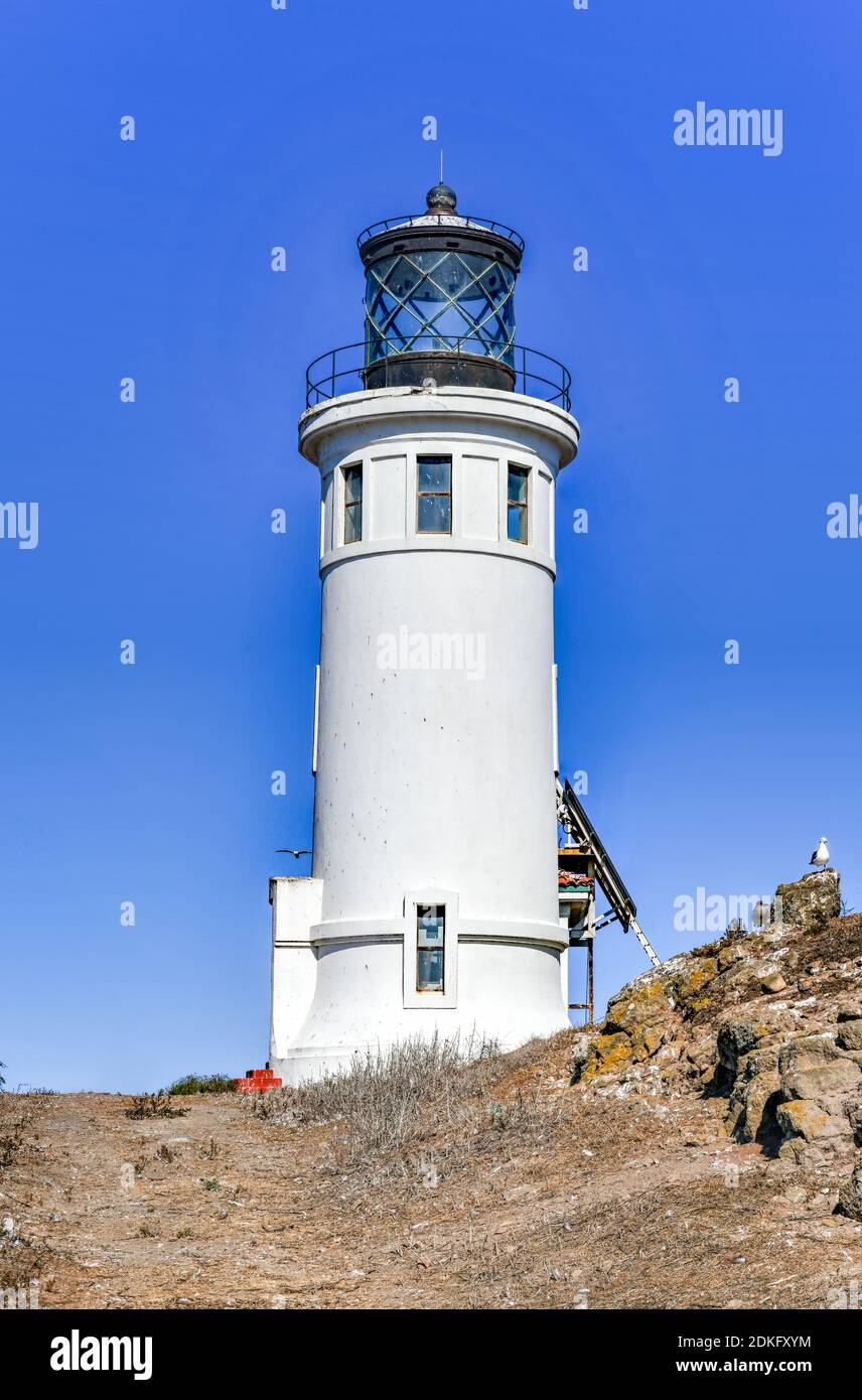 Anacapa island lighthouse with nesting seagulls at Channel Islands ...