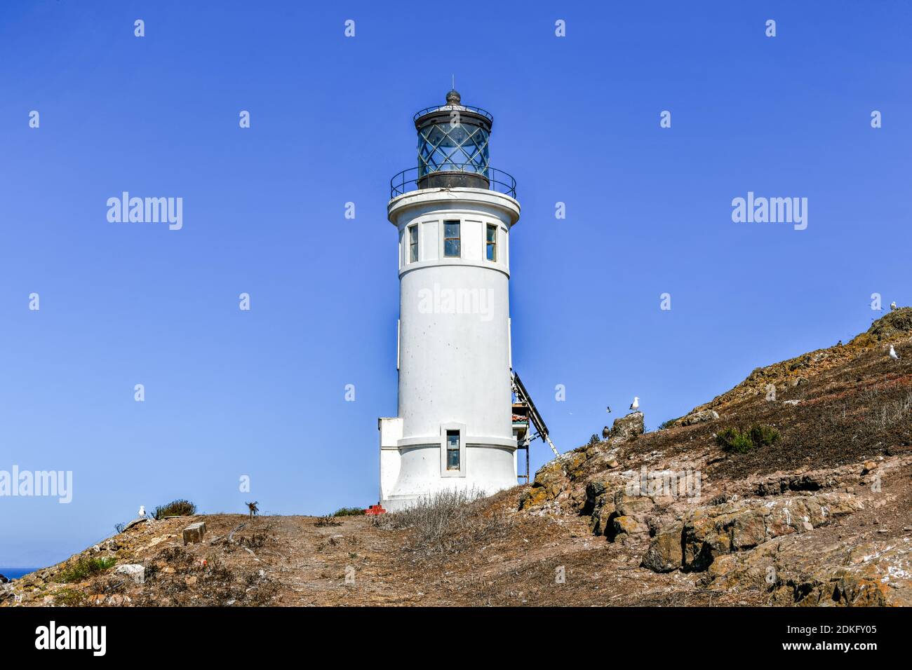 Anacapa island lighthouse with nesting seagulls at Channel Islands ...