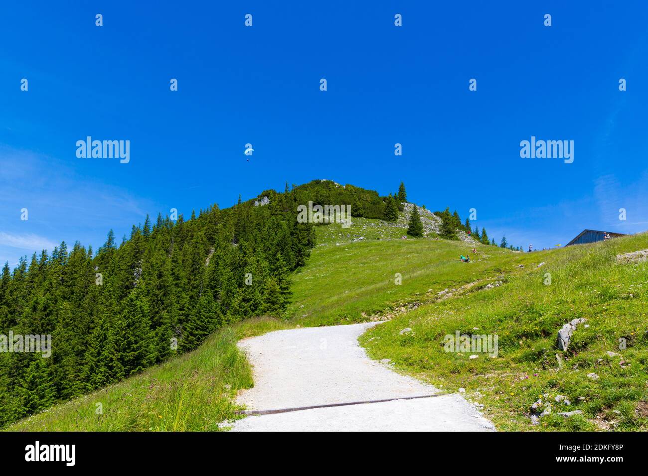 Wallberg, 1722 m, Rottach-Egern, Tegernsee, Bavarian Alps, Bavaria ...