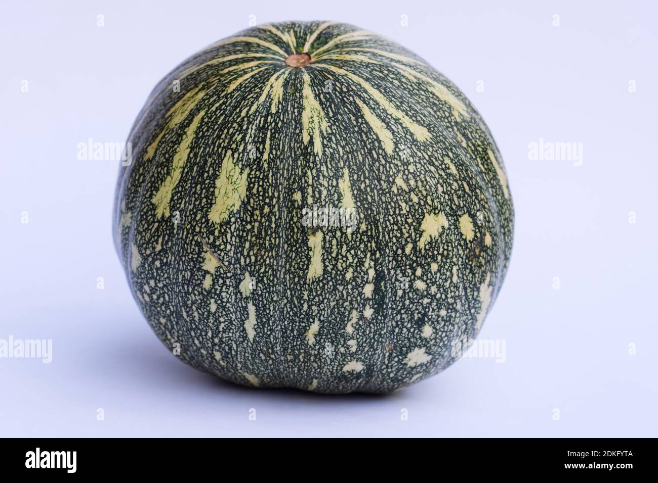 Indian White Pumpkin