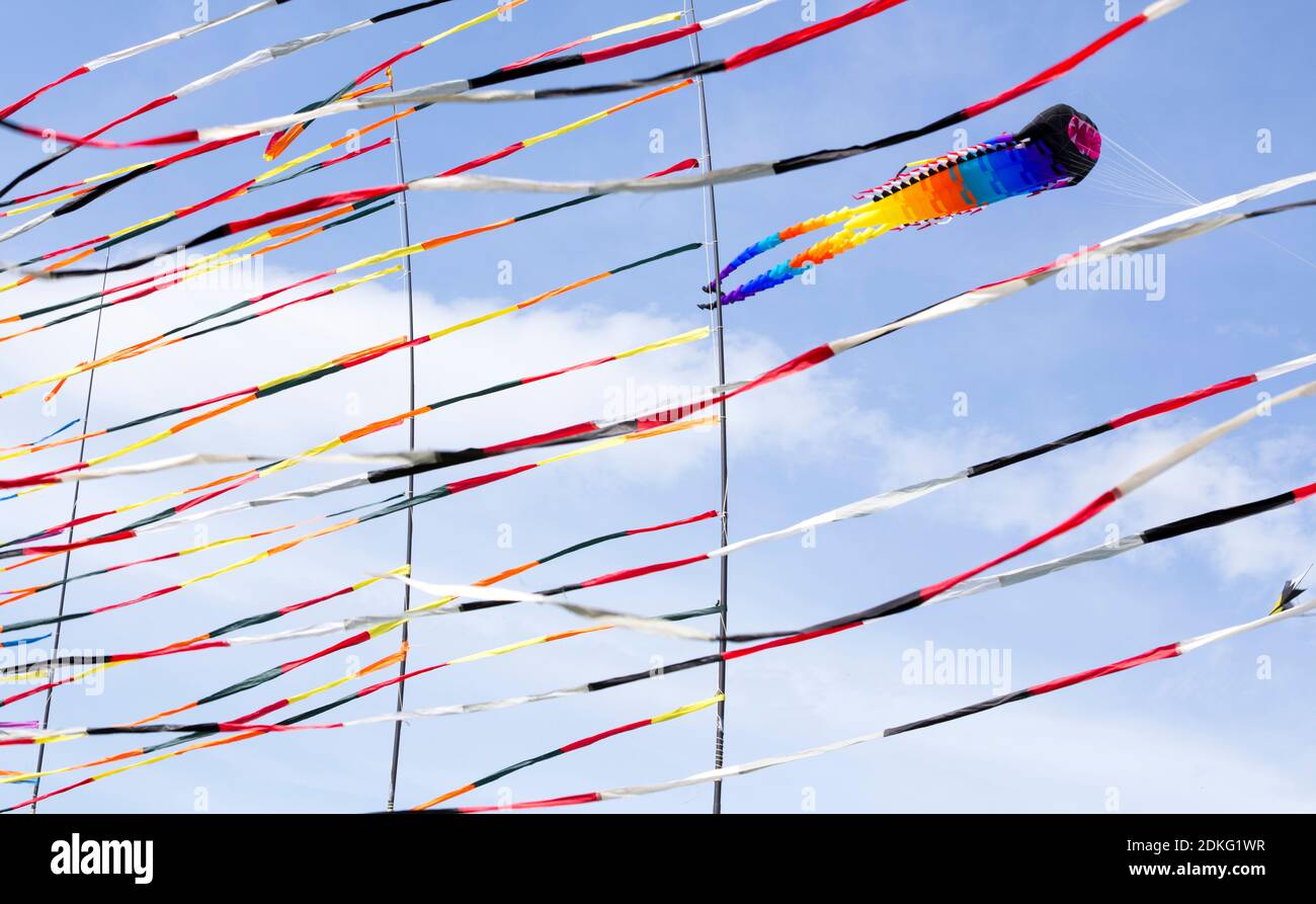 Great octopus-like kite and colored ribbons on the wind at kites ...