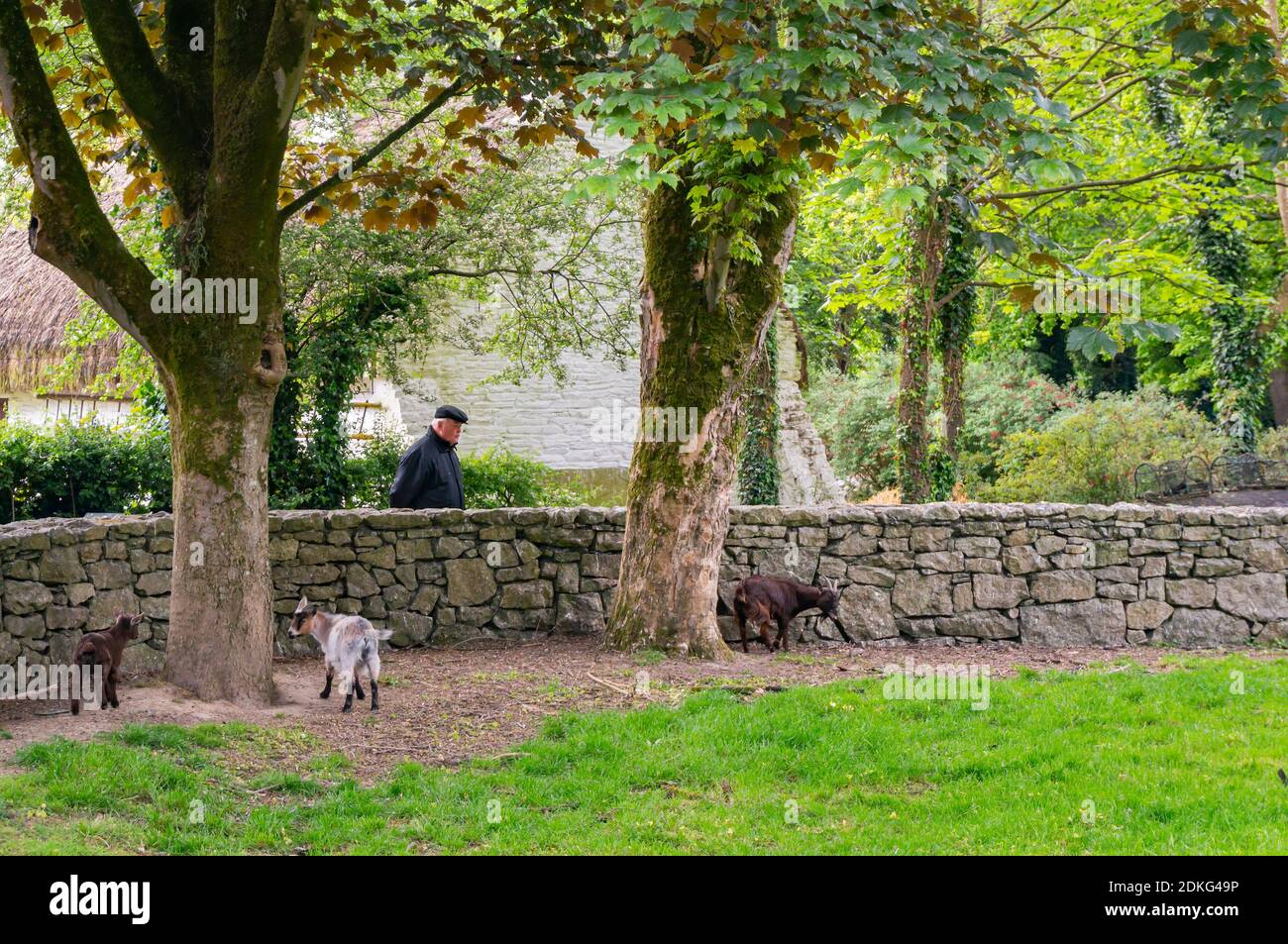 Castle and bunratty and people hi-res stock photography and images - Alamy