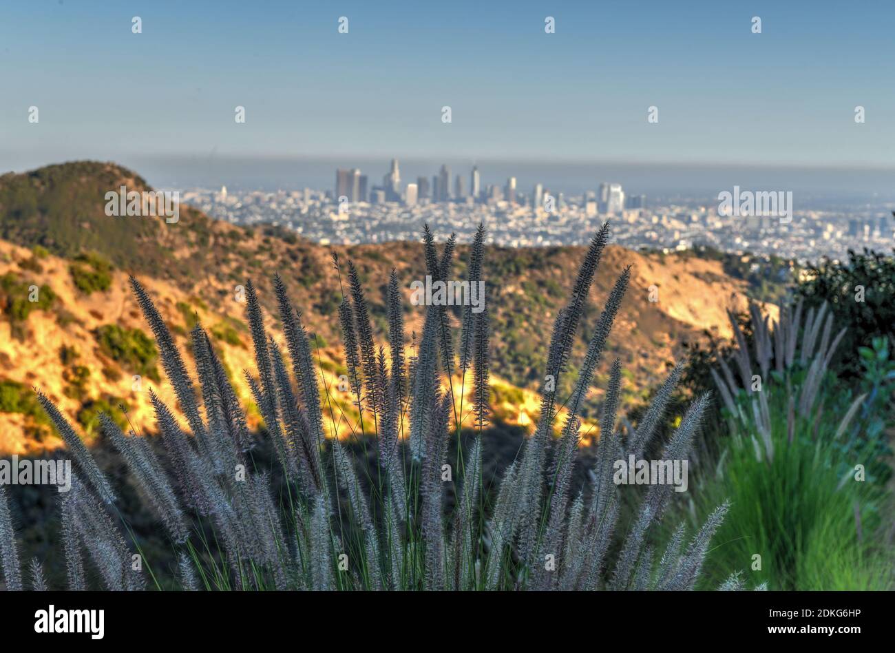 Panoramic view of the skyline in Los Angeles downtown buildings in ...