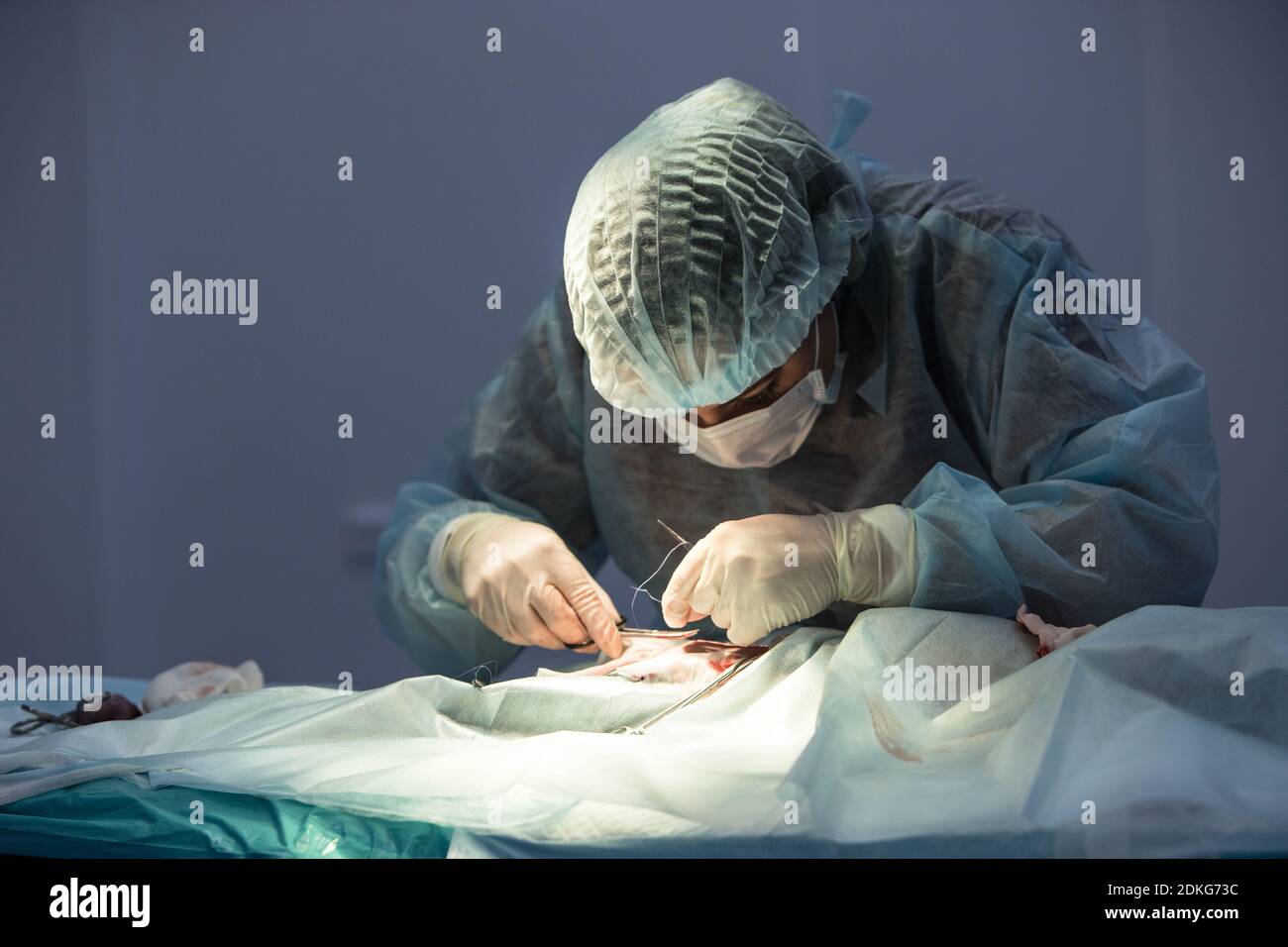 Laparotomy hi-res stock photography and images - Alamy