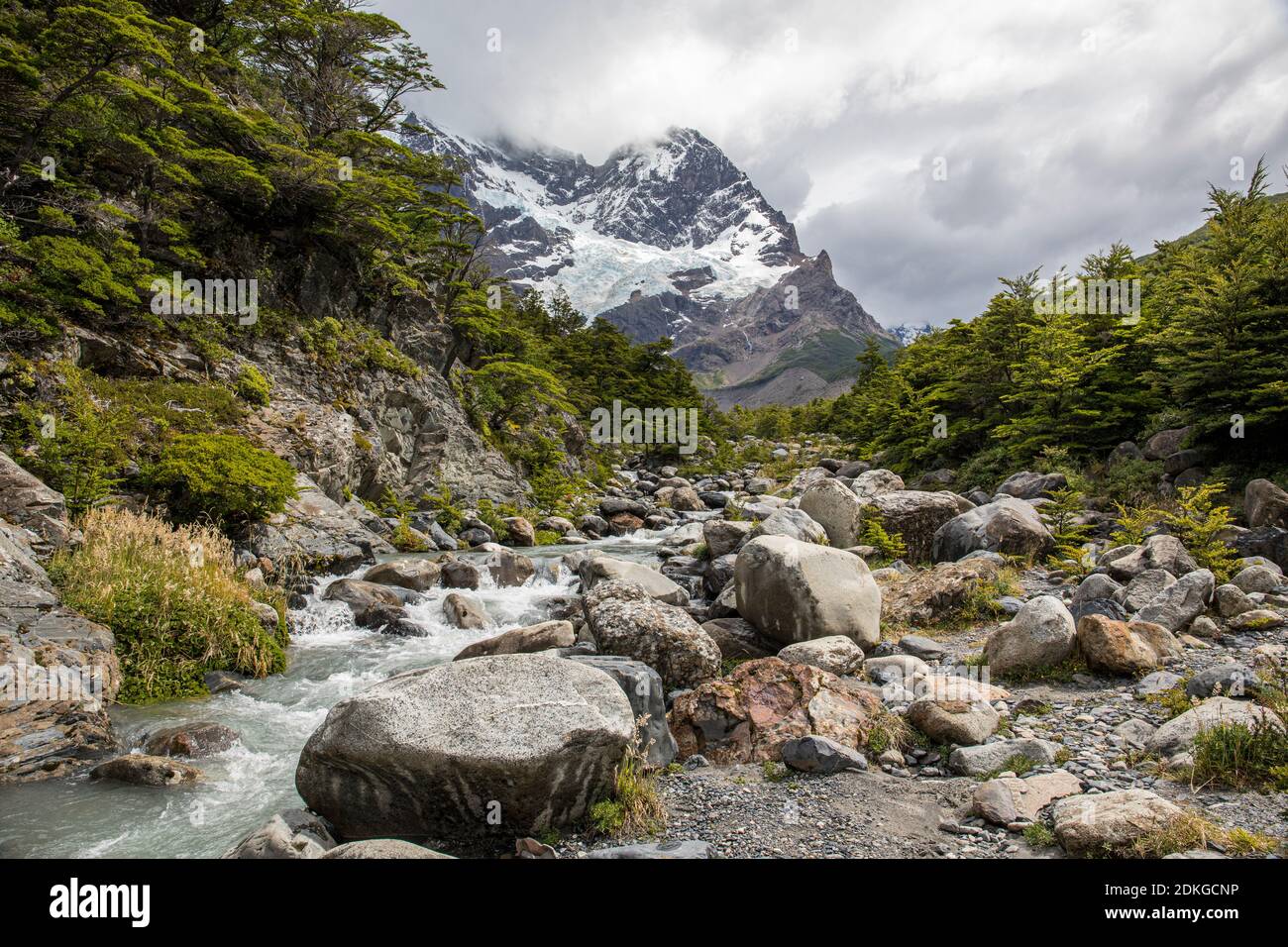 Chile, landscape in the Torres del Paine National Park, Patagonia Stock ...