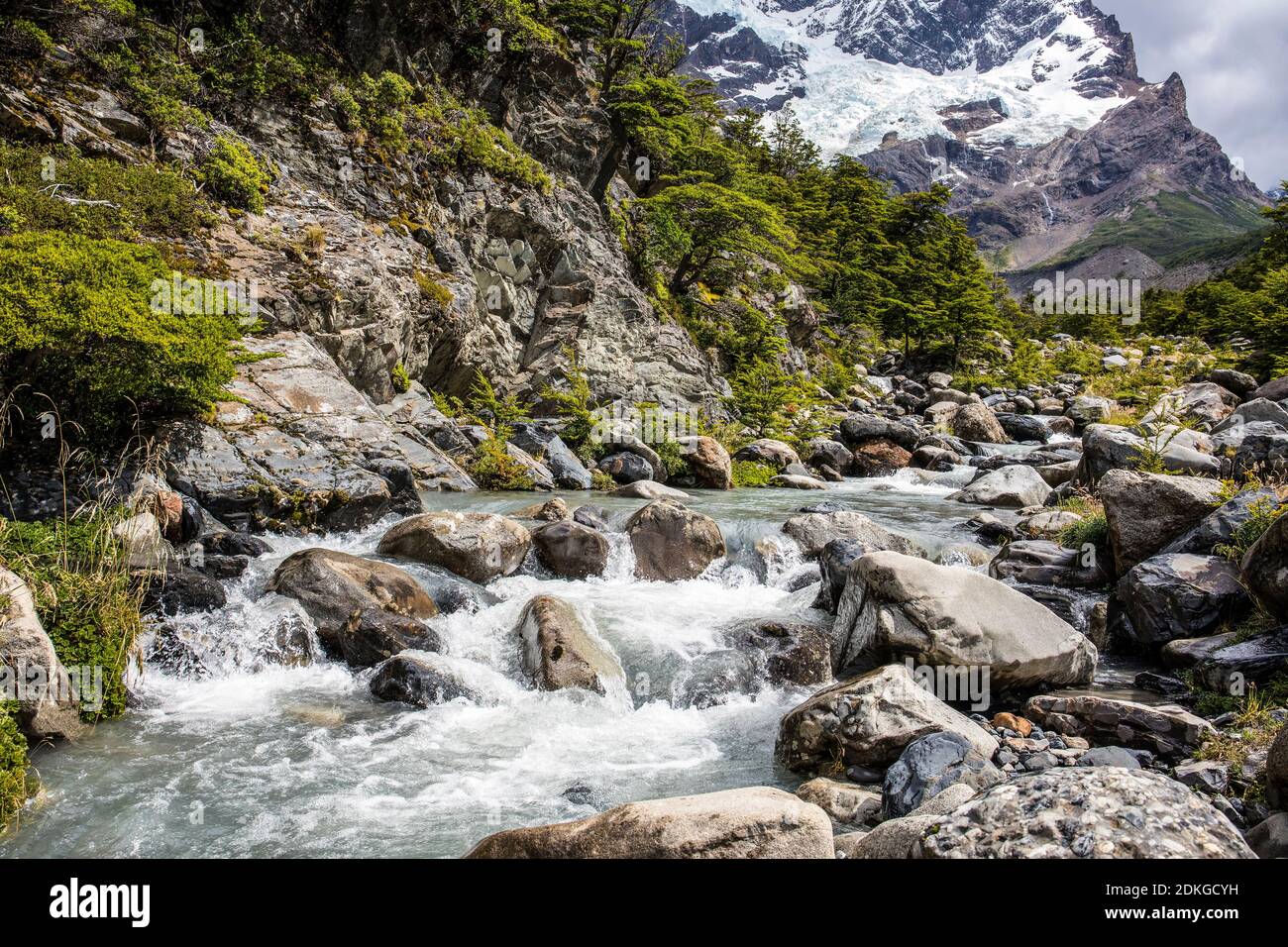 Chile, landscape in the Torres del Paine National Park, Patagonia Stock ...