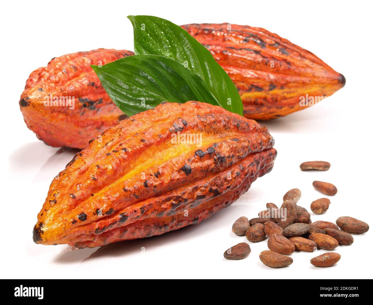 Half fresh cocoa fruit Cut Out Stock Images & Pictures - Alamy